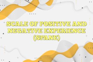 Scale Of Positive And Negative Experience (SPANE)