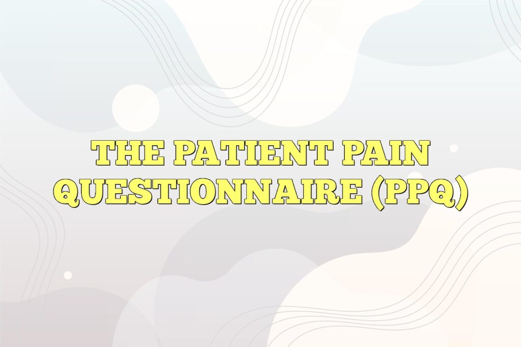 The Patient Pain Questionnaire (PPQ)