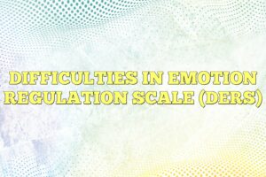 Difficulties In Emotion Regulation Scale (DERS)