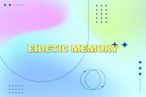 Eidetic Memory
