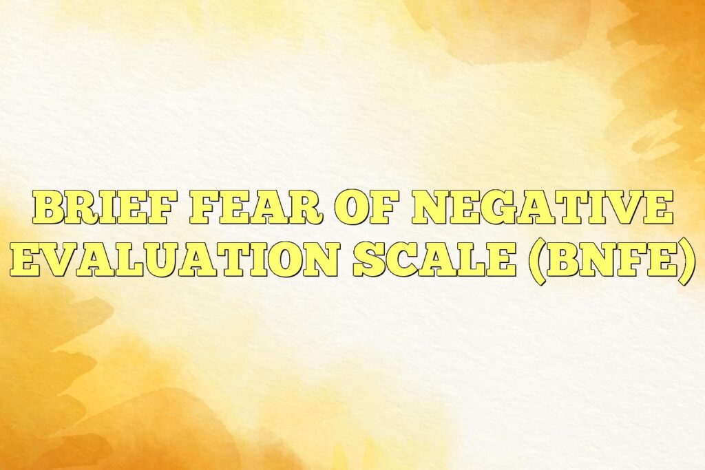 Brief Fear Of Negative Evaluation Scale (BNFE)