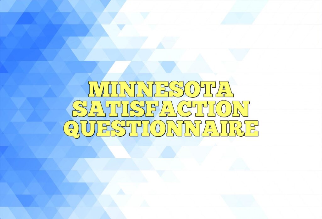 Minnesota Satisfaction Questionnaire