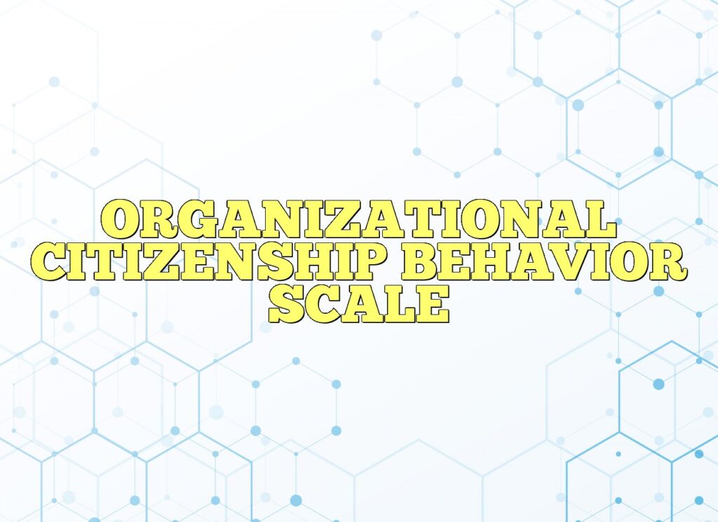 Organizational Citizenship Behavior Scale