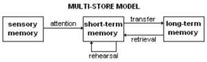 Multi-Store Model Of Memory By Atkinson–Shiffrin