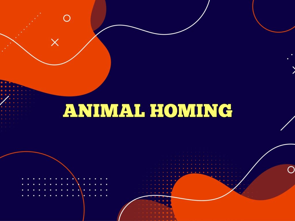 ANIMAL HOMING Definition & Meaning