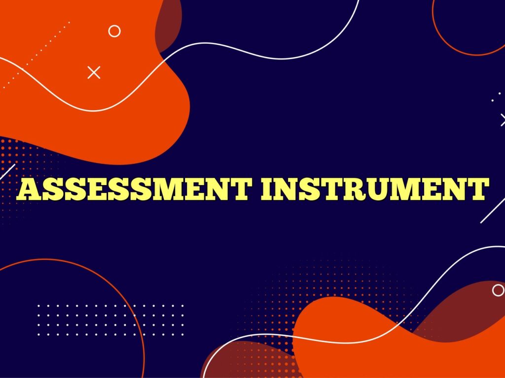 ASSESSMENT INSTRUMENT Definition & Meaning