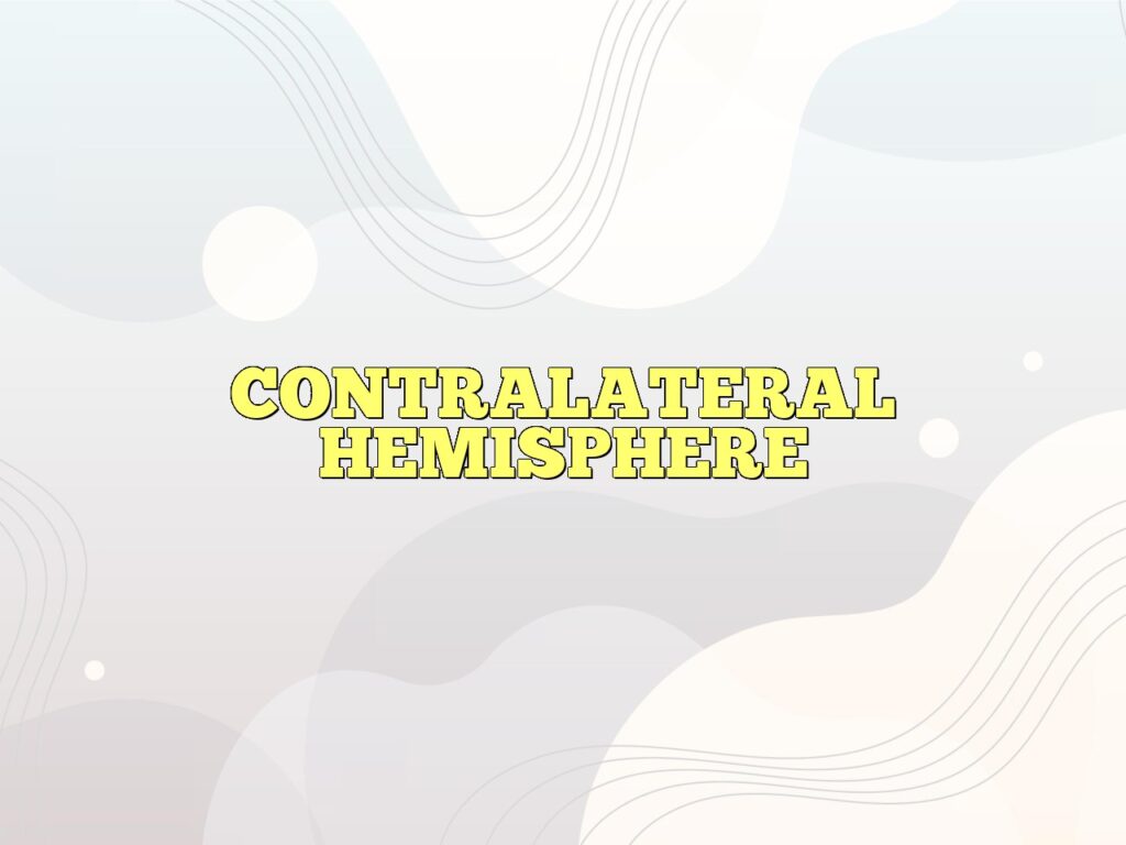 CONTRALATERAL HEMISPHERE Definition & Meaning