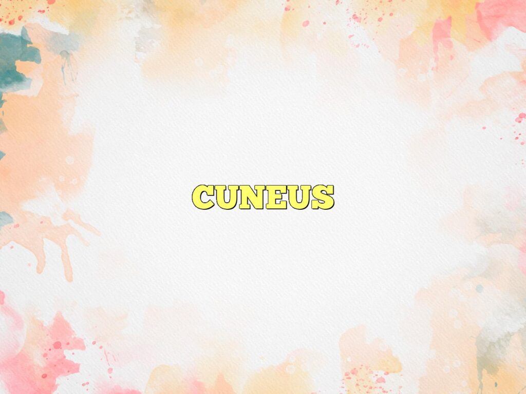 CUNEUS Definition & Meaning