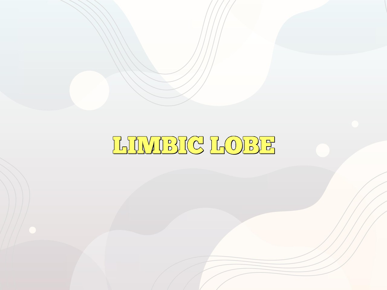 LIMBIC LOBE Definition & Meaning