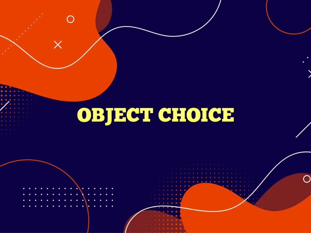 OBJECT CHOICE Definition & Meaning