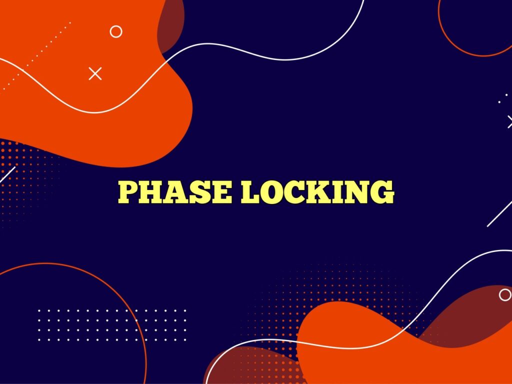 PHASE LOCKING Definition & Meaning