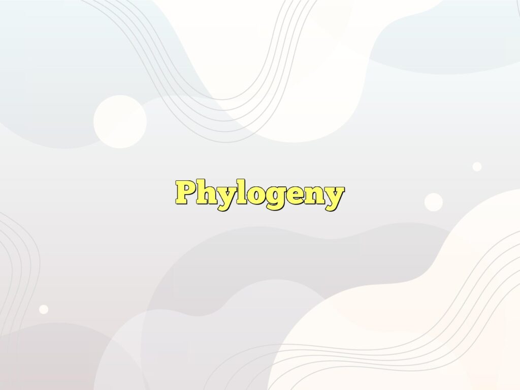 Phylogeny Definition & Meaning