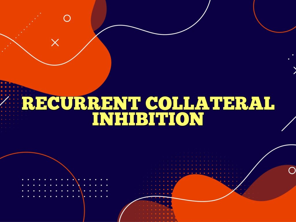 RECURRENT COLLATERAL INHIBITION Definition & Meaning