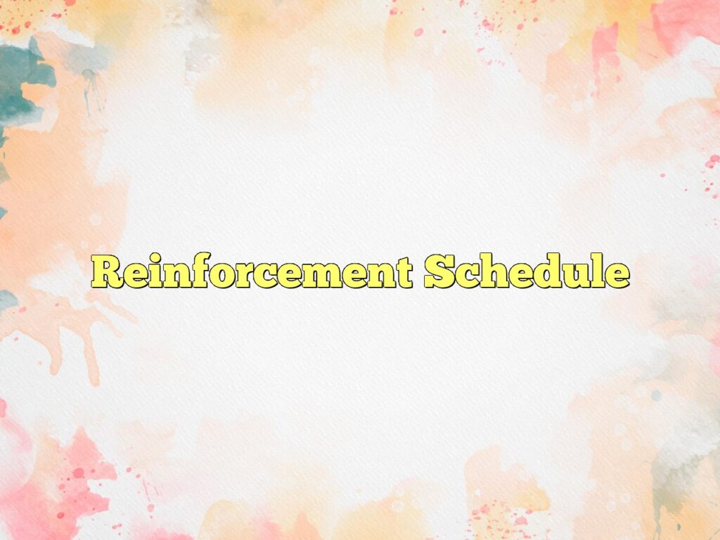 Reinforcement Schedule Definition & Meaning