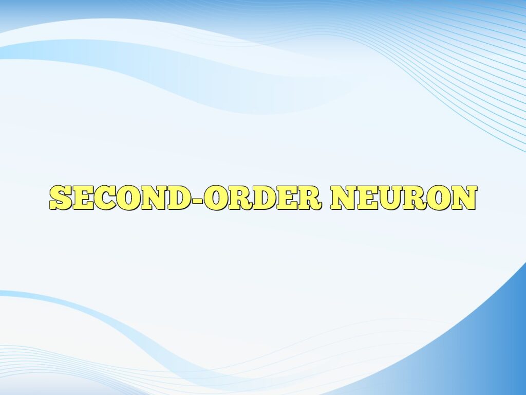SECOND-ORDER NEURON Definition & Meaning