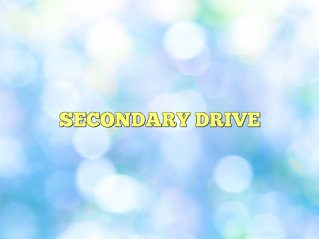 SECONDARY DRIVE Definition & Meaning