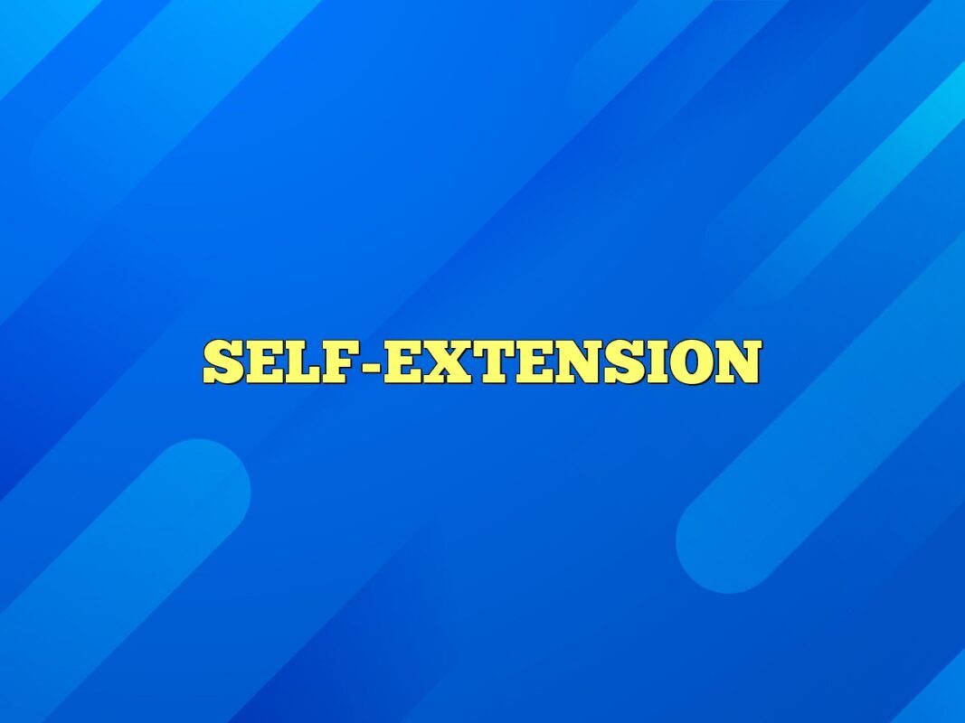 SELF EXTENSION Definition Meaning SELF EXTENSION Definition Meaning