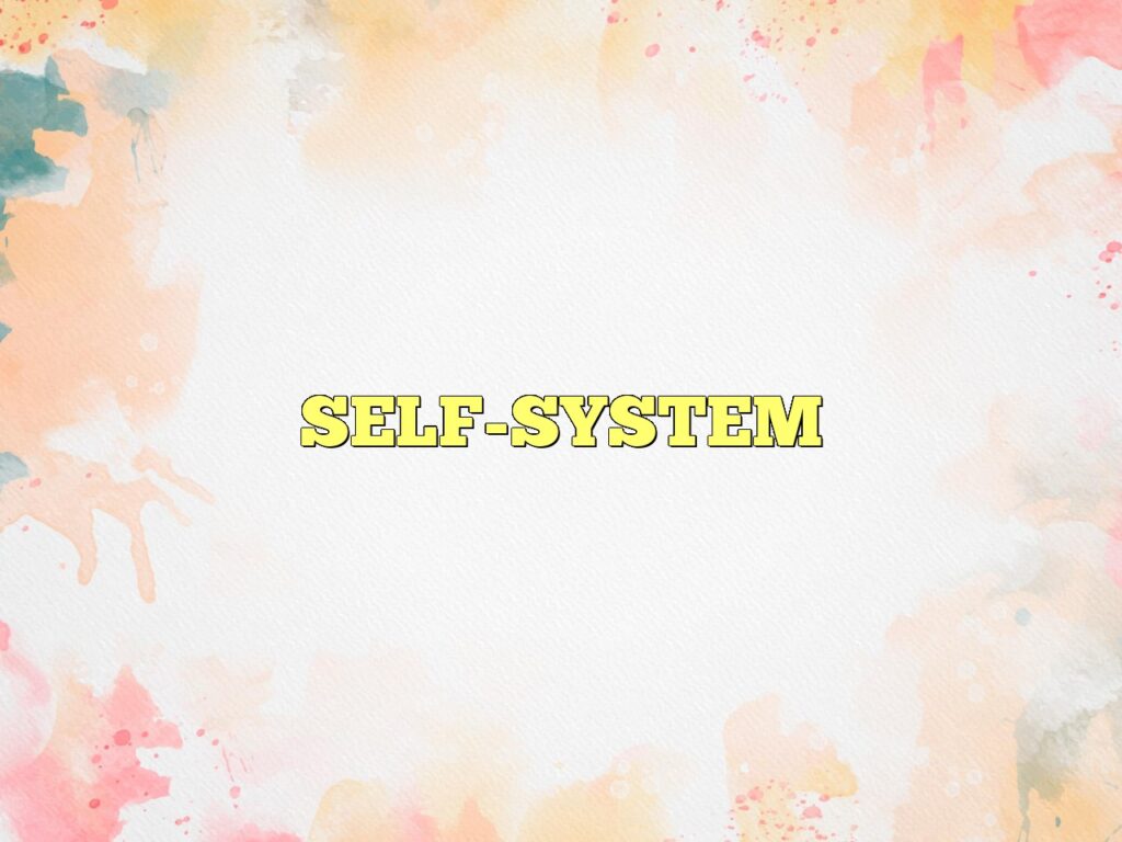 SELF-SYSTEM Definition & Meaning