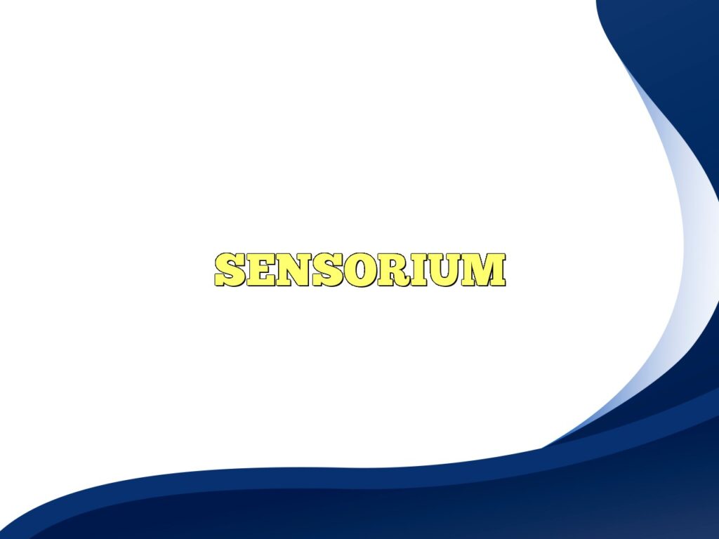 SENSORIUM Definition & Meaning