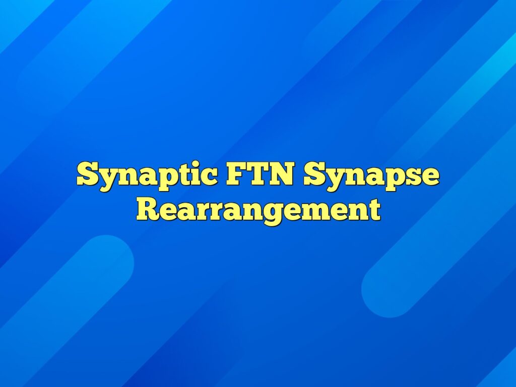 Synaptic FTN Synapse Rearrangement Definition & Meaning