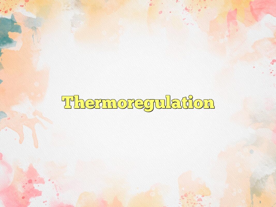 Thermoregulation Definition & Meaning