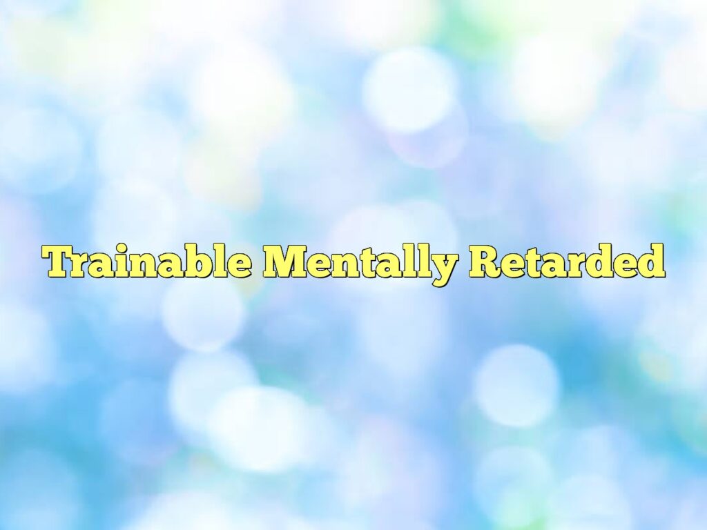 Trainable Mentally Retarded Definition & Meaning