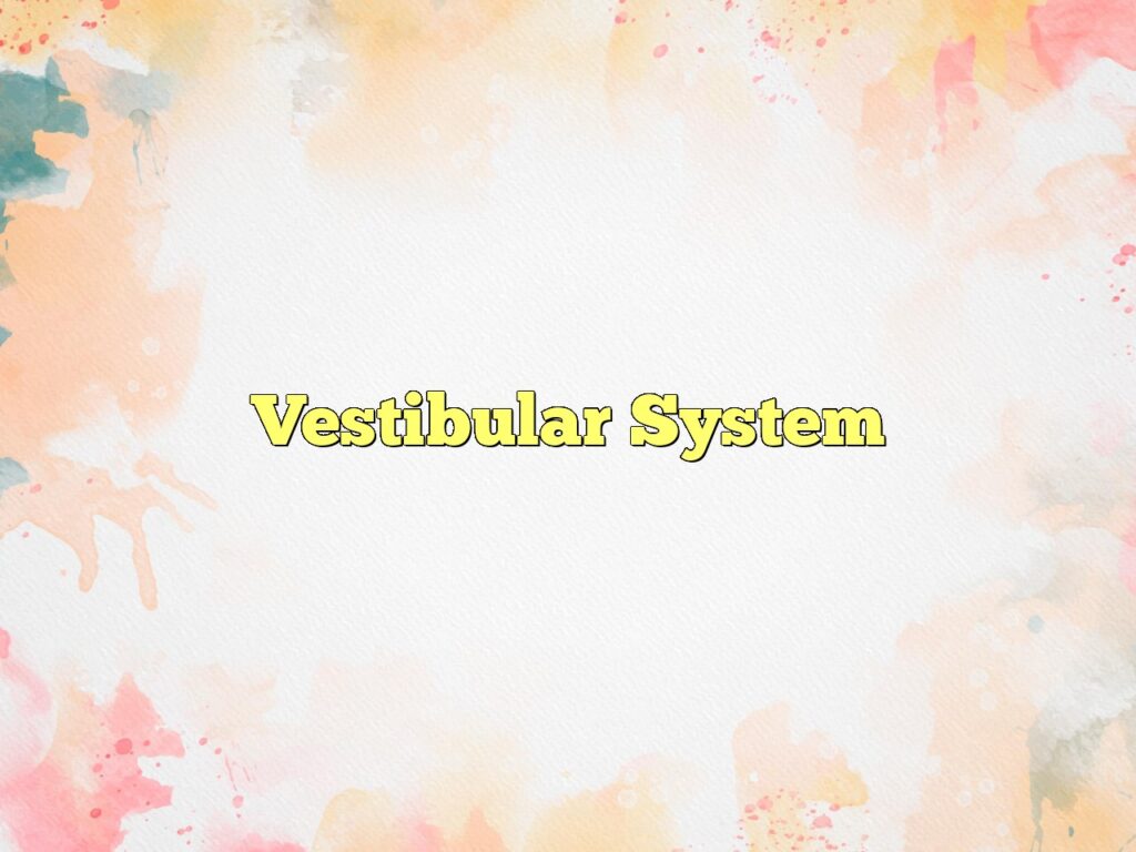 Vestibular System Definition & Meaning