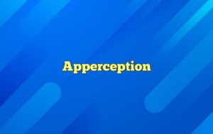 Apperception
