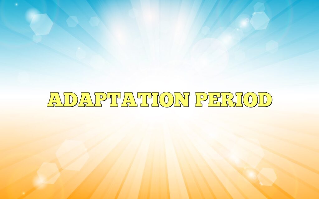 ADAPTATION PERIOD Definition & Meaning