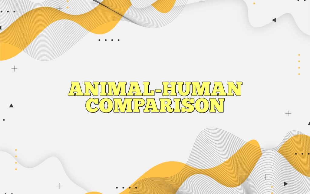 ANIMAL-HUMAN COMPARISON Definition & Meaning