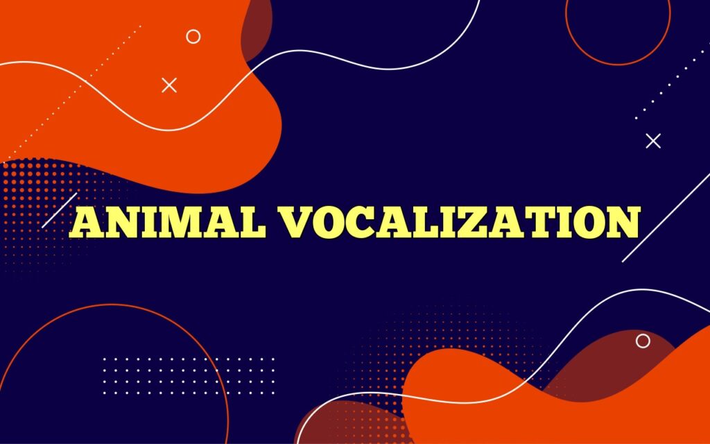 ANIMAL VOCALIZATION Definition & Meaning