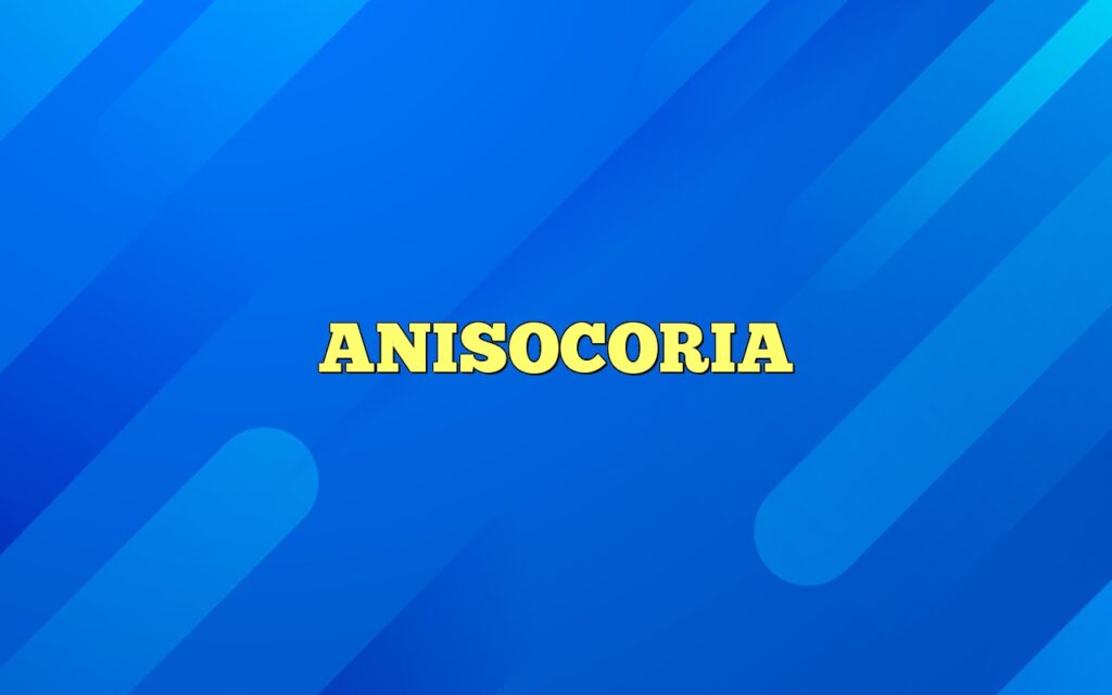 ANISOCORIA Definition & Meaning