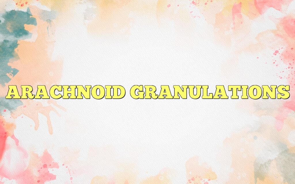 ARACHNOID GRANULATIONS Definition & Meaning