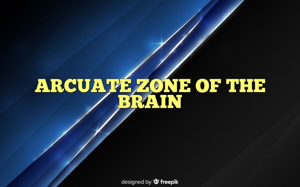 ARCUATE ZONE OF THE BRAIN Definition & Meaning