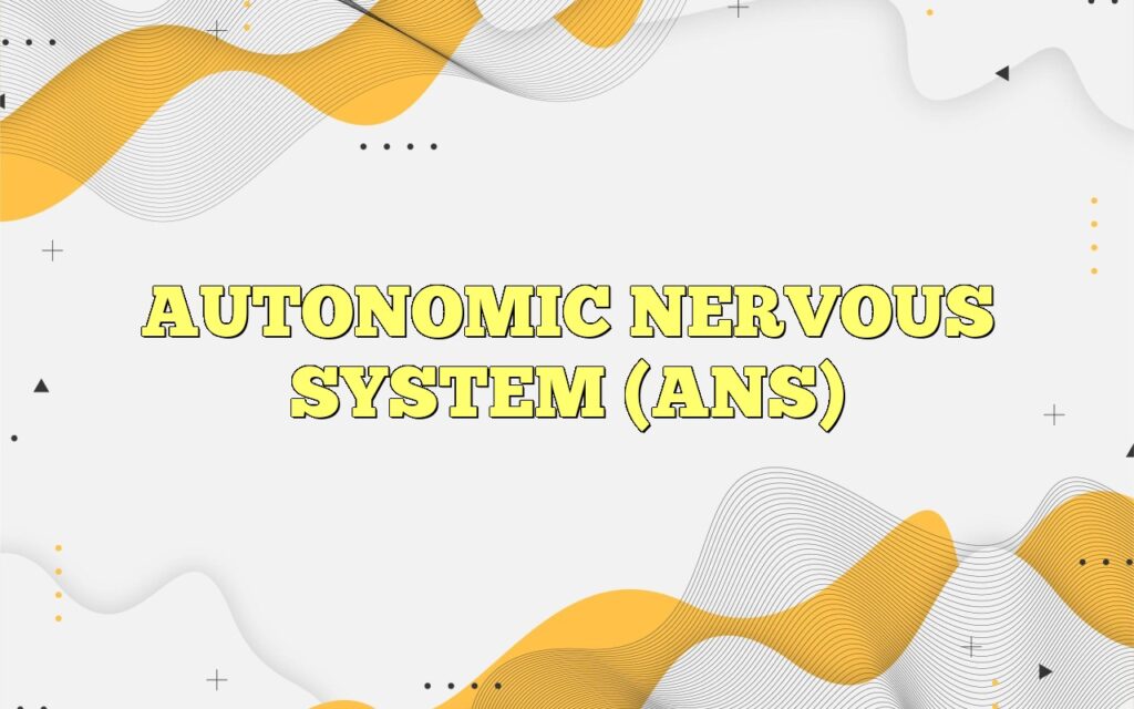 AUTONOMIC NERVOUS SYSTEM (ANS) Definition & Meaning