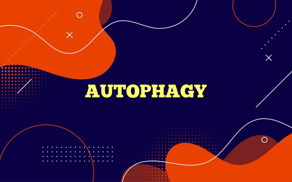 AUTOPHAGY Definition & Meaning