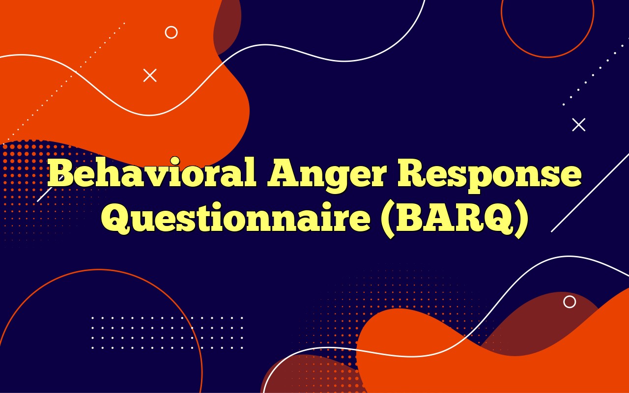 Behavioral Anger Response Questionnaire (BARQ)