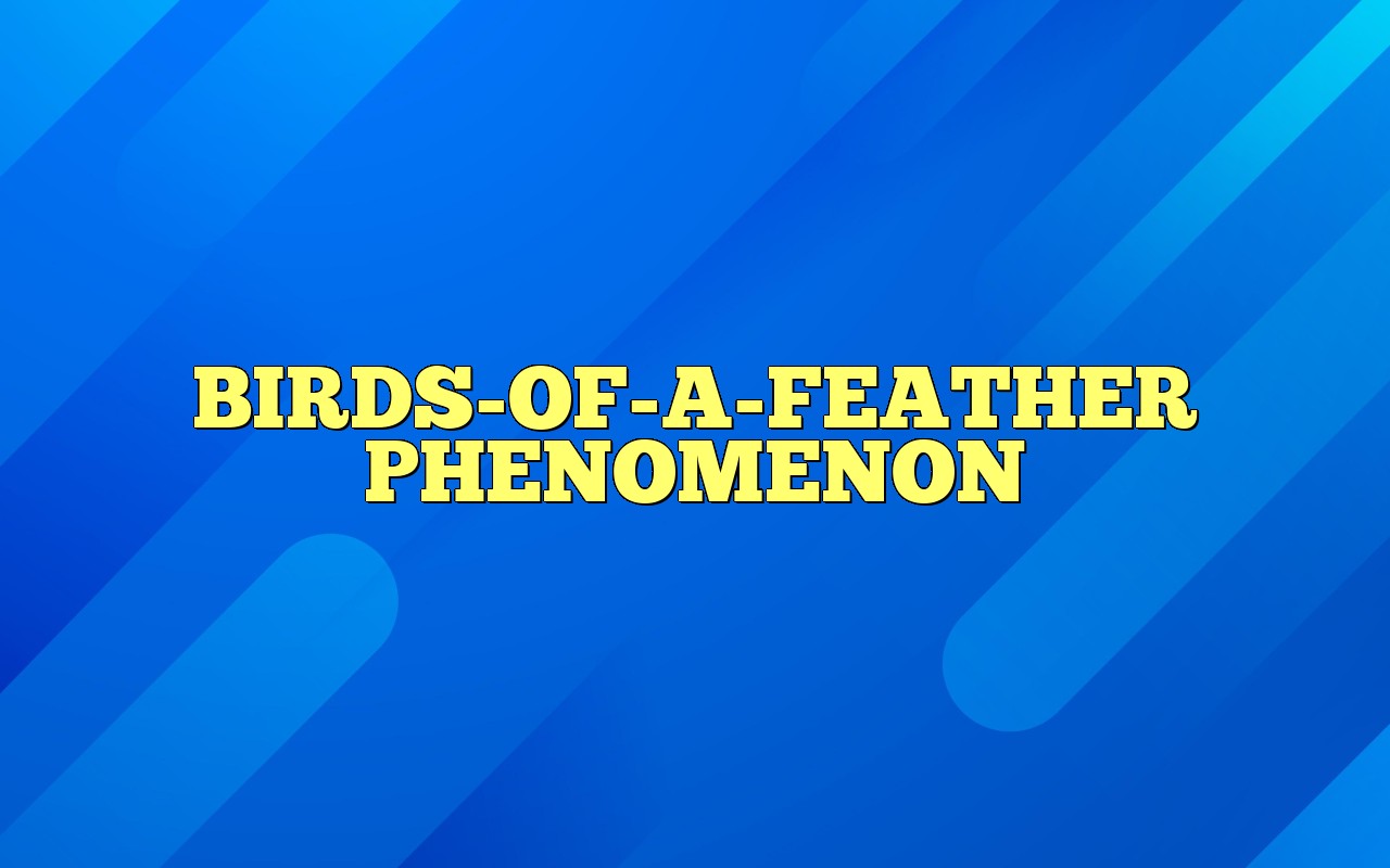 BIRDS-OF-A-FEATHER PHENOMENON Definition & Meaning