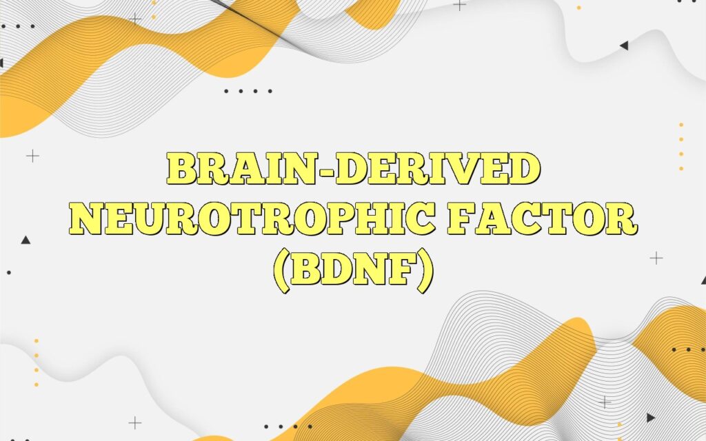 BRAIN-DERIVED NEUROTROPHIC FACTOR (BDNF) Definition & Meaning