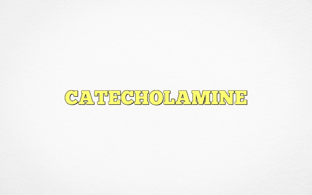CATECHOLAMINE Definition & Meaning