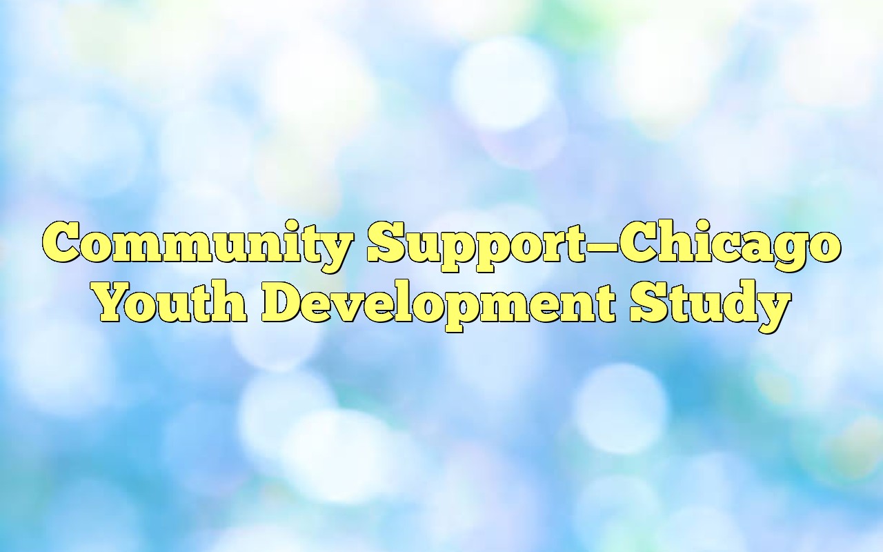 Community Support—Chicago Youth Development Study