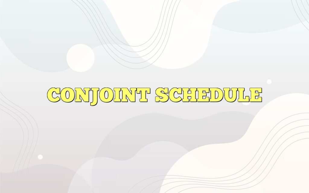 CONJOINT SCHEDULE Definition & Meaning