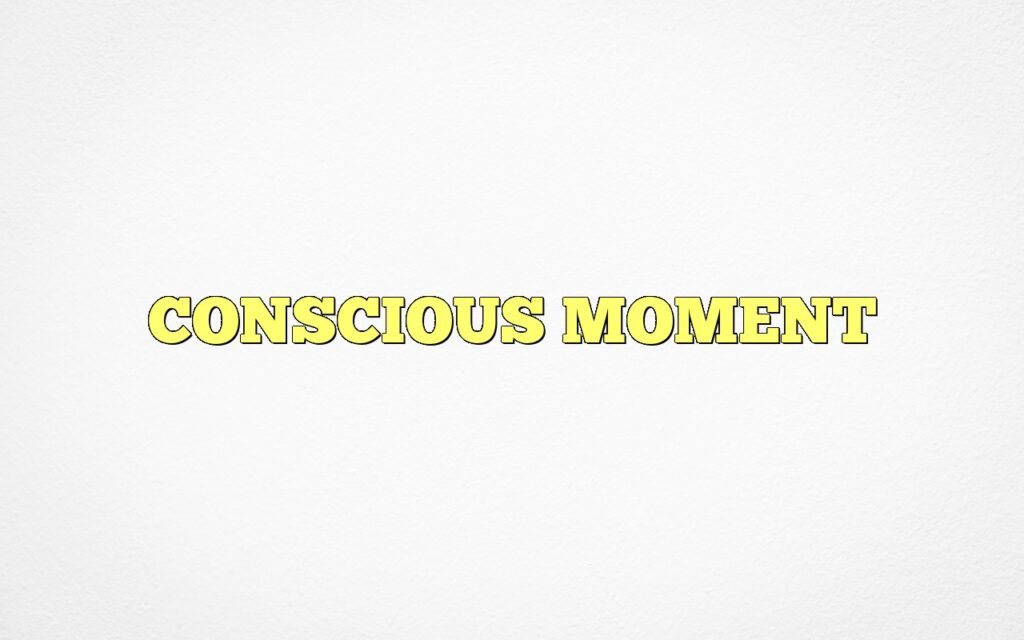 CONSCIOUS MOMENT Definition & Meaning