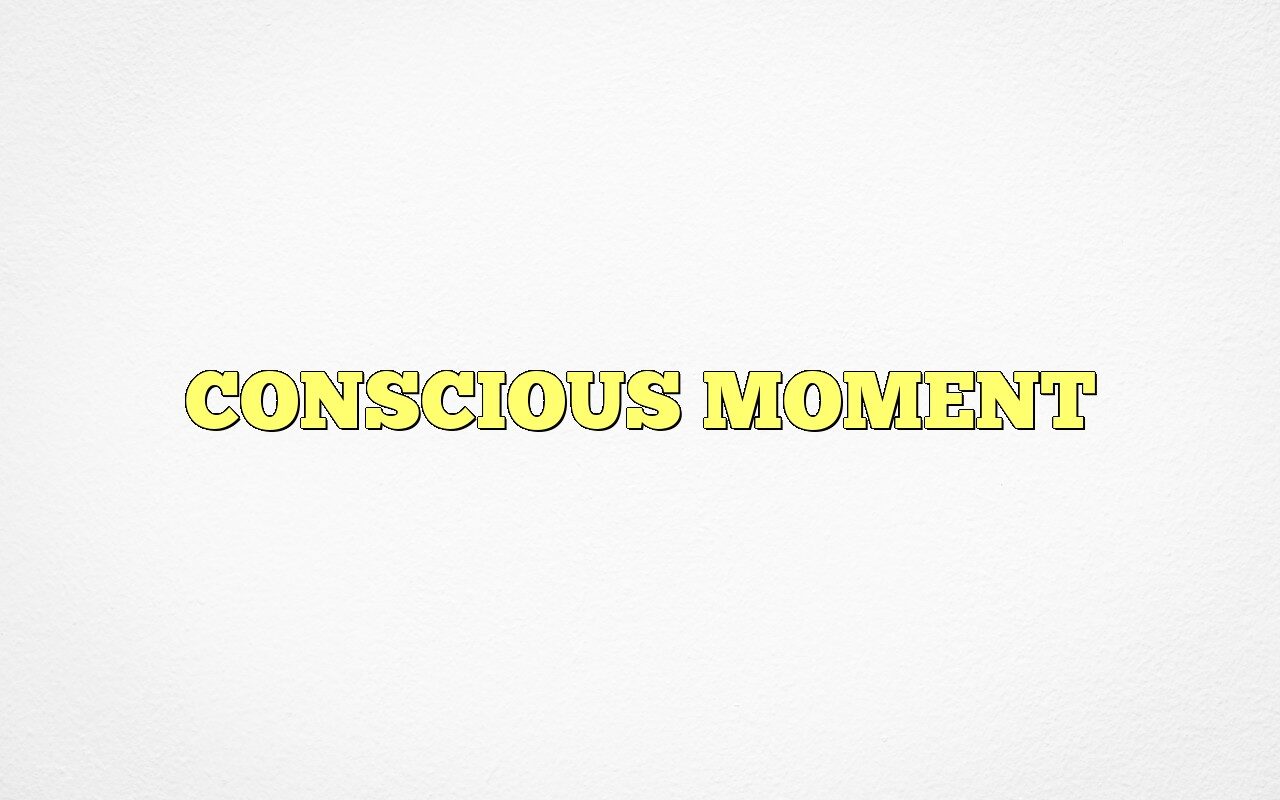 CONSCIOUS MOMENT Definition & Meaning