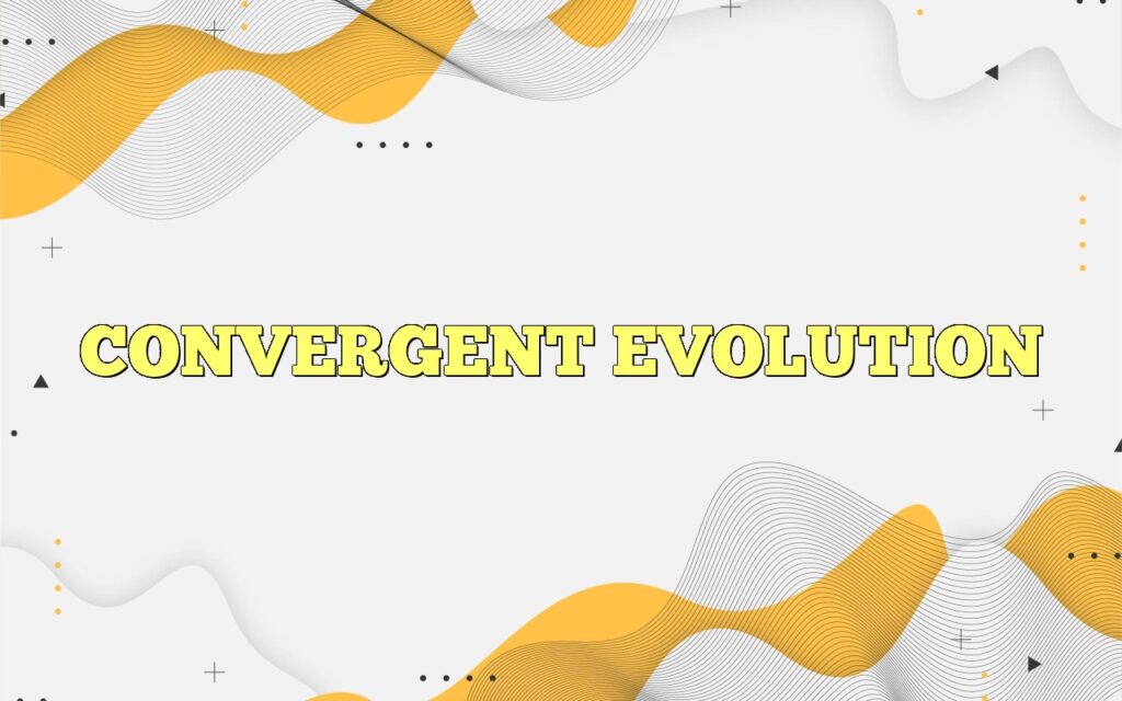 CONVERGENT EVOLUTION Definition & Meaning