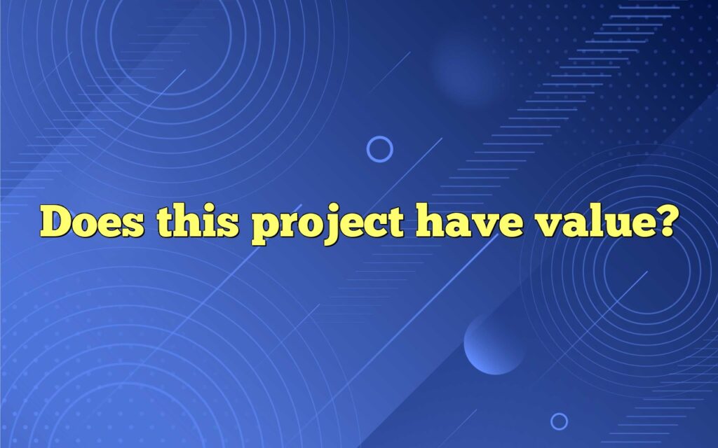 Does This Project Have Value?