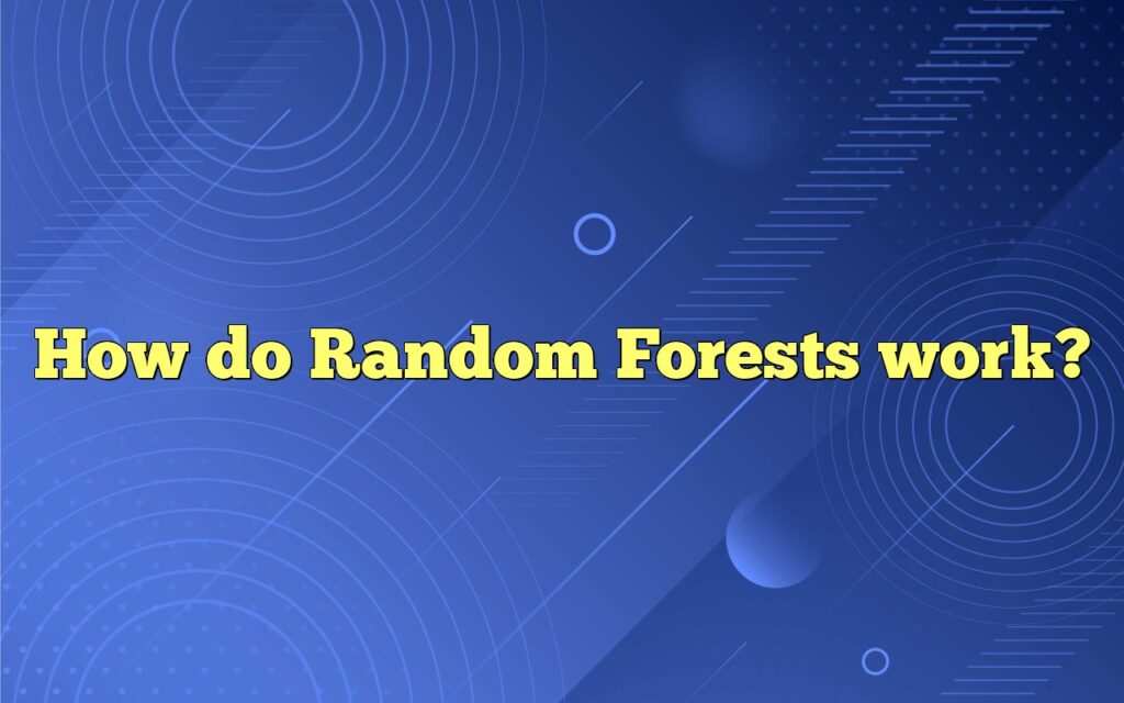 How Do Random Forests Work?