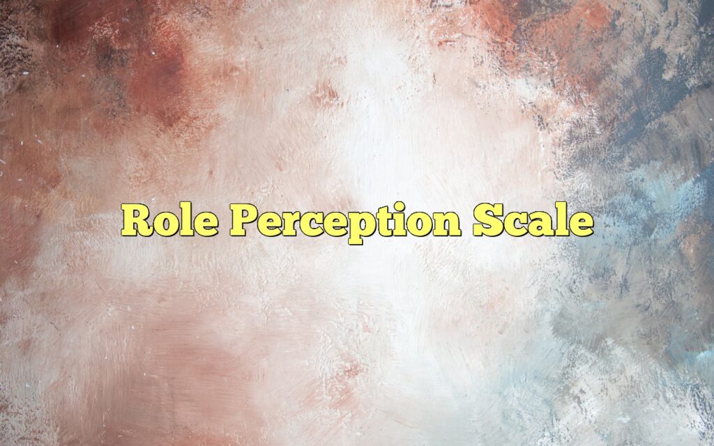 Role Perception Scale