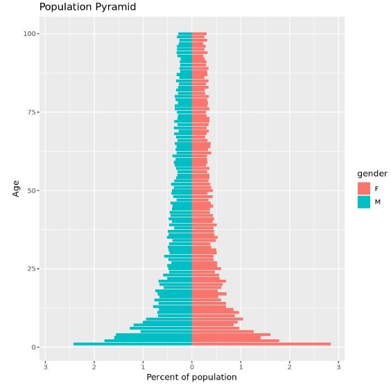 How Can I Create A Population Pyramid In R?