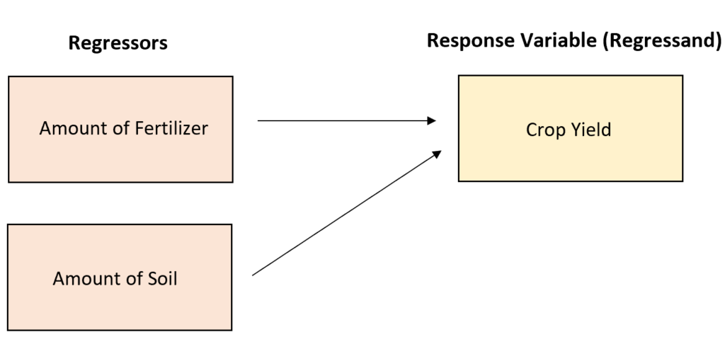 What Is A Regressor? (Definition & Examples)
